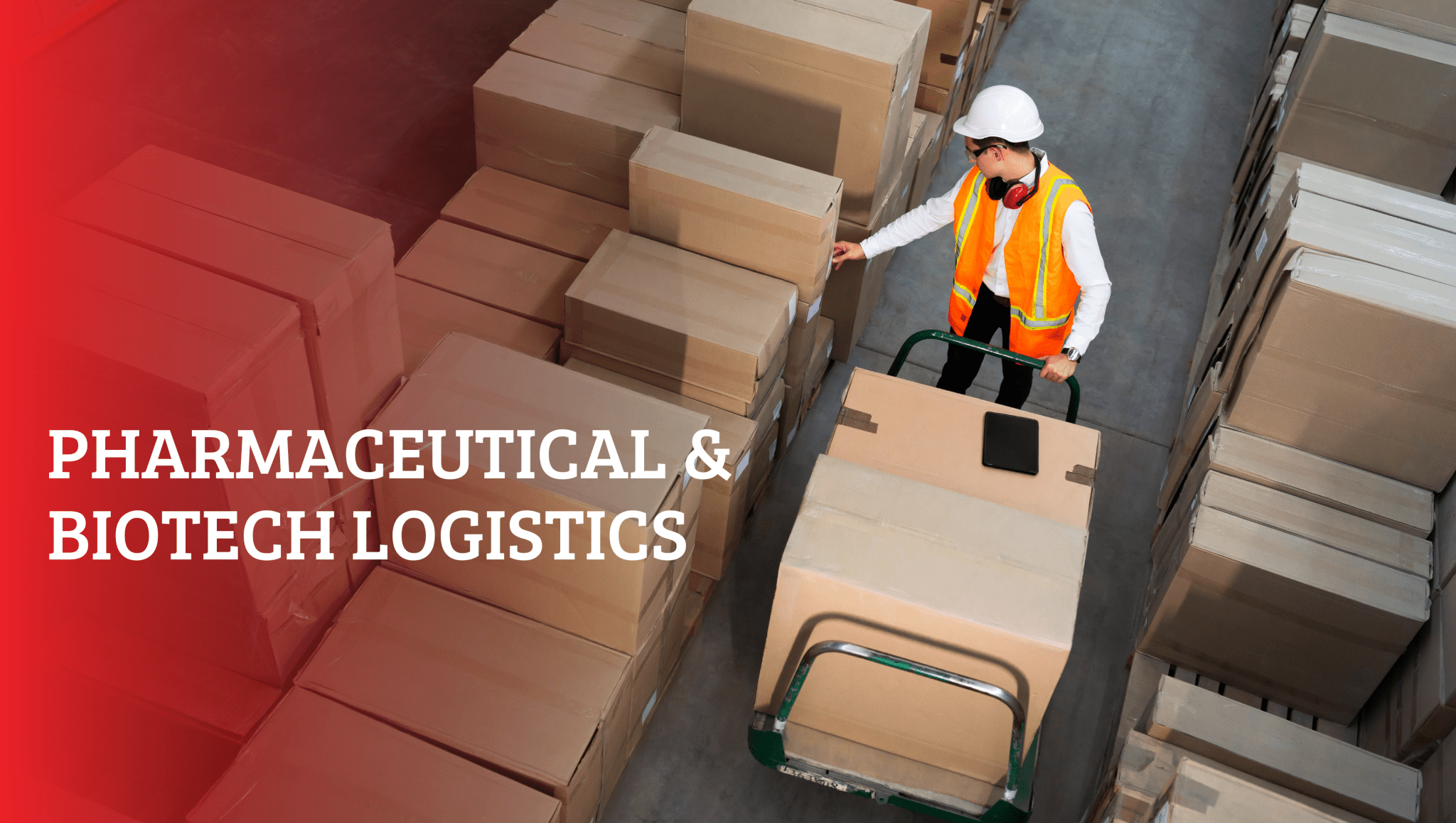 SEPEX SHIPPING SERVICES | AIR CARGO | SEA CARGO | UAE